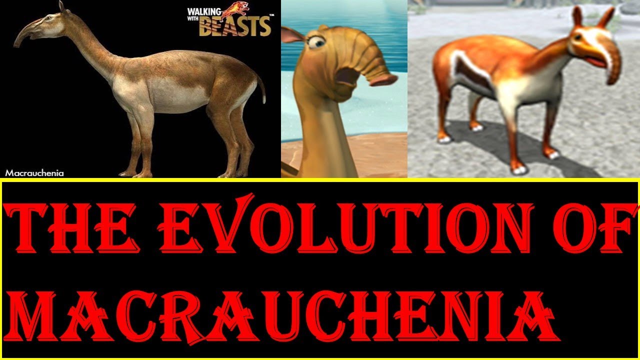 the evolution of macrauchenia - YouTube