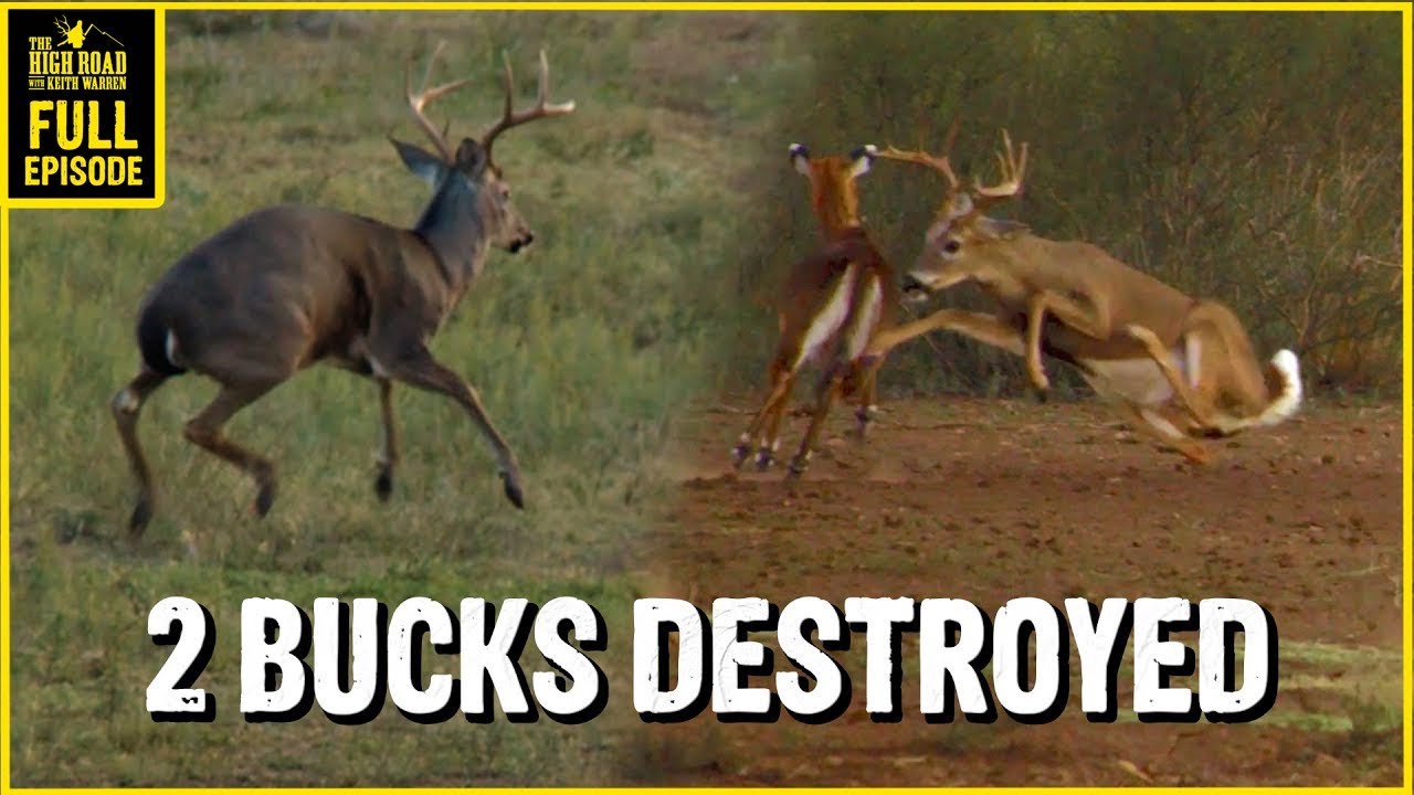 2 Bucks SMOKED by 2 Veterans! - YouTube