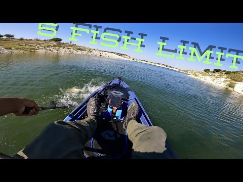 Longest 5 Fish LIMIT !!! (Lake Amistad)