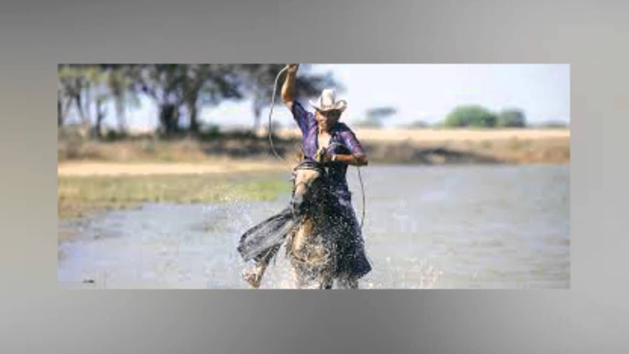 la mula blanca - YouTube