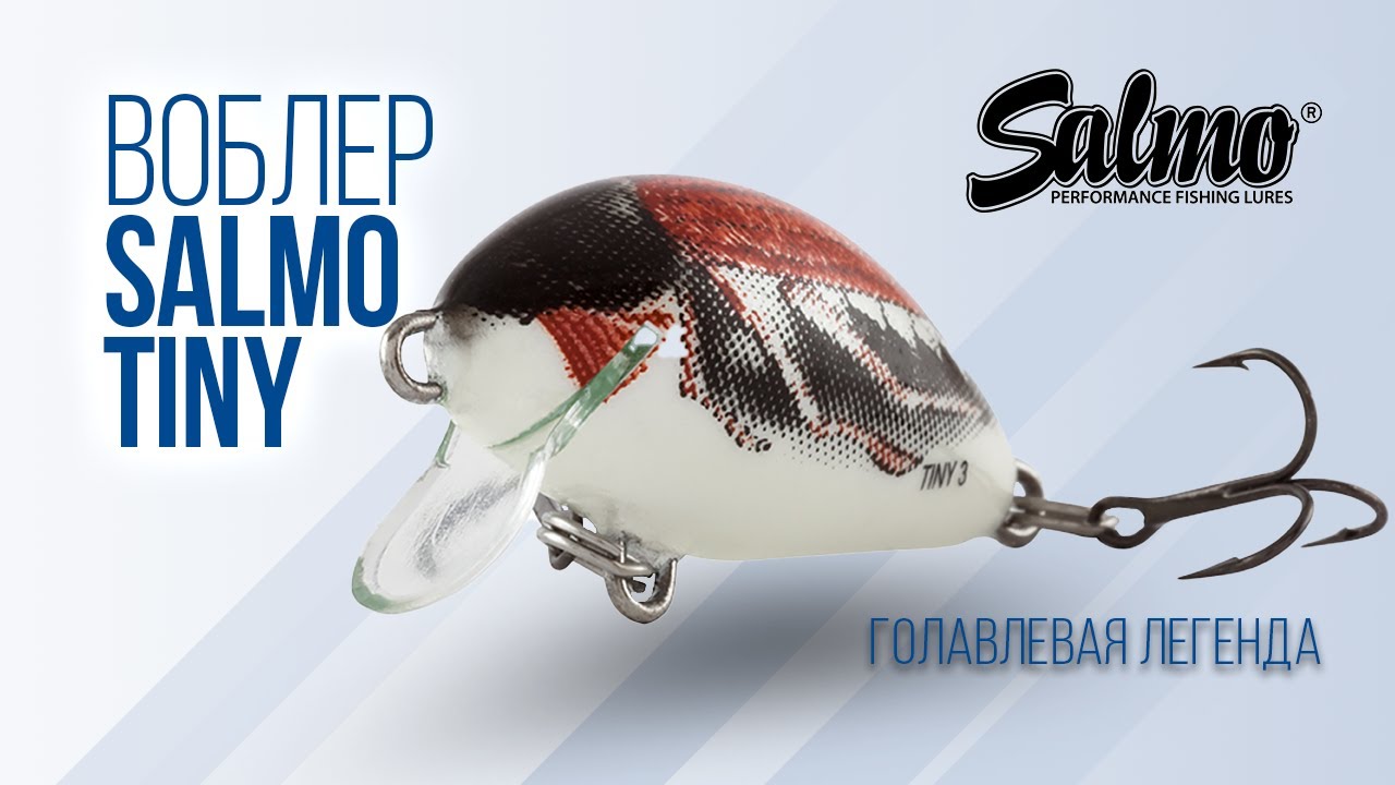 Обзор воблера крэнка Salmo Tiny. Всесезонный охотник на голавля. - YouTube