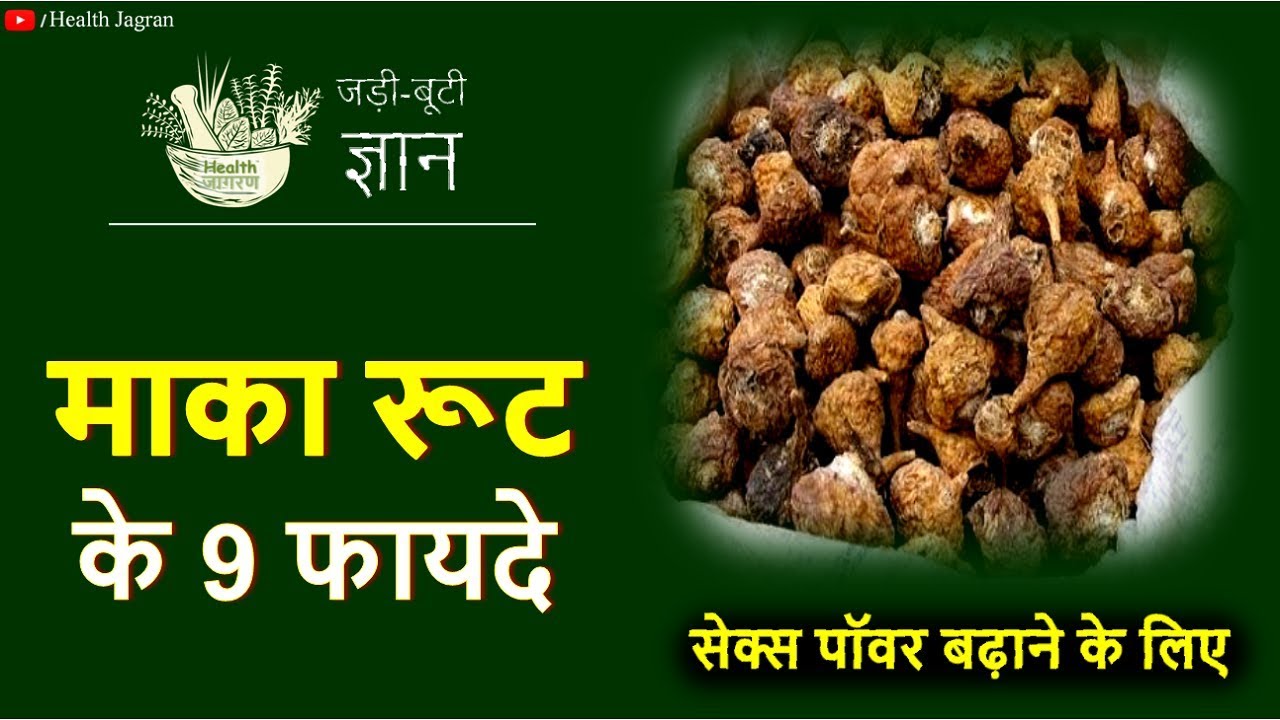 माका रूट (जड़) के फायदे | Maca Plant Benefits for Men, Bodybuilding ...