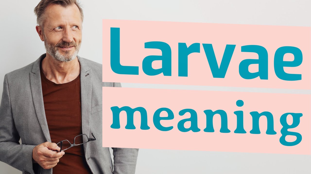 Larvae | Definition of larvae 📖 - YouTube