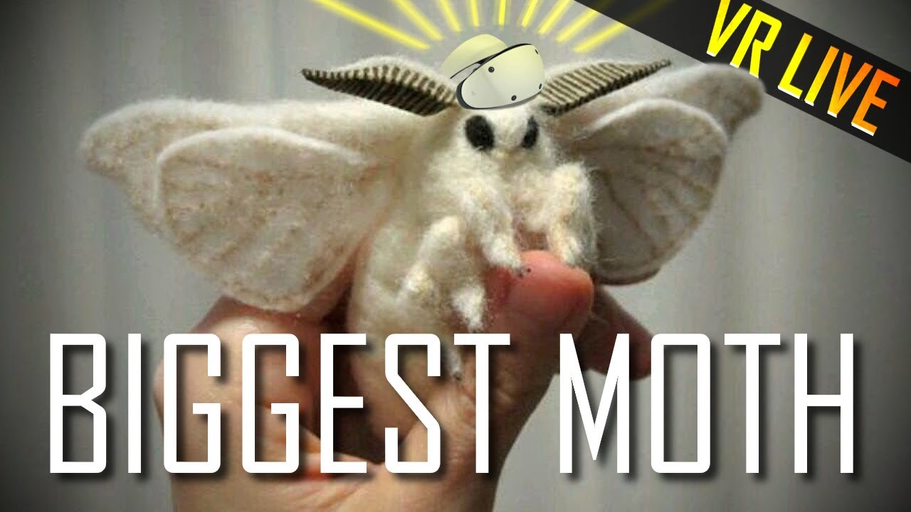 Need a BIGGER butterfly net! (for Behemoth on PSVR2) - YouTube