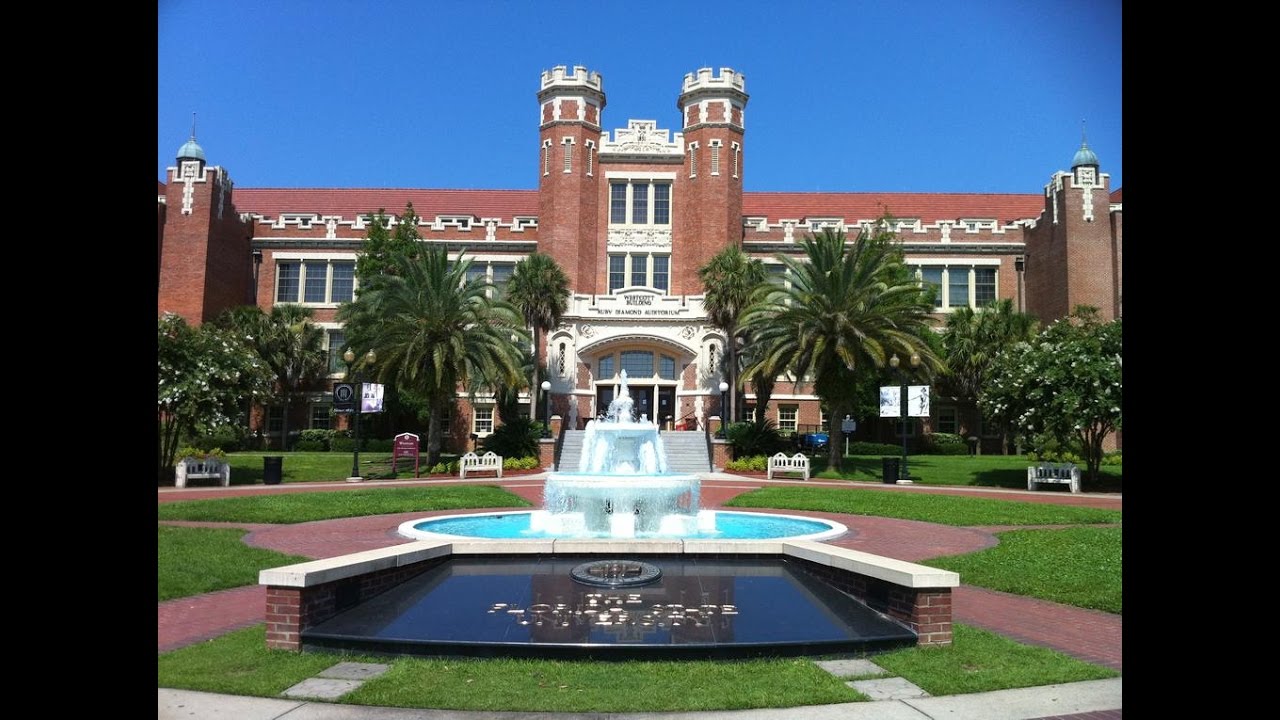 princeton university graduate programs - YouTube