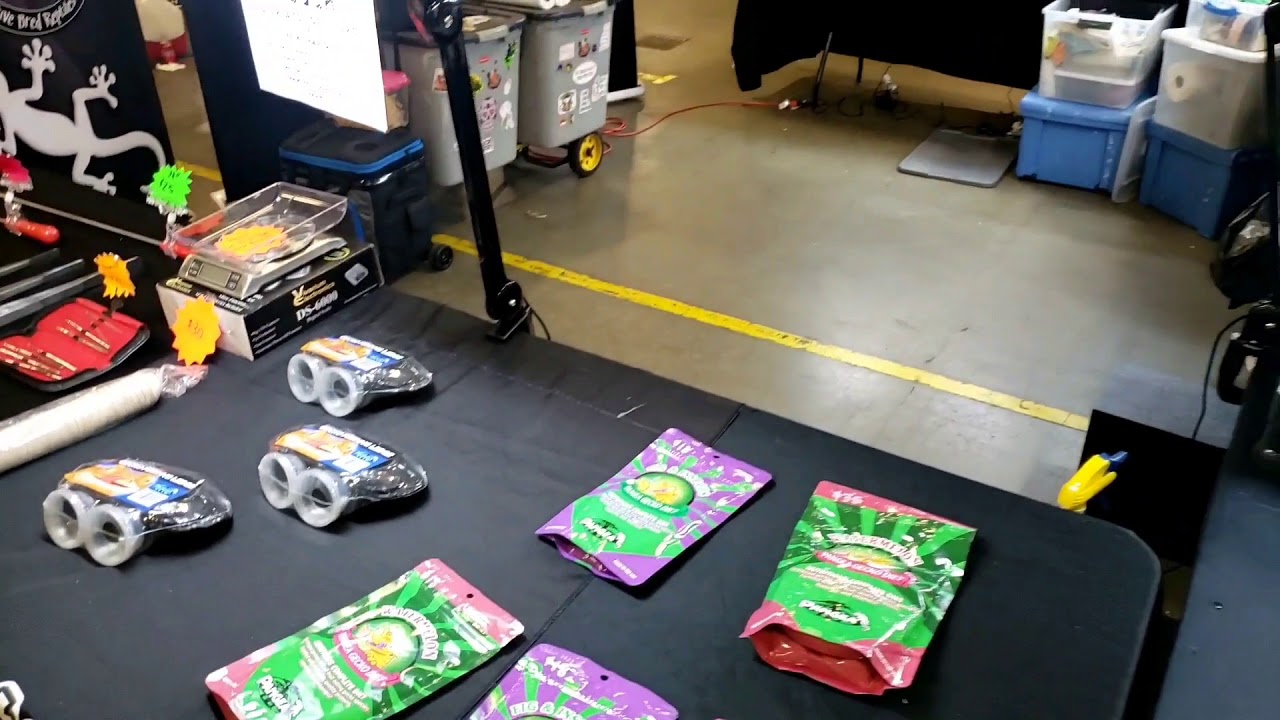 REPTICON Charlotte NC 2020 - YouTube