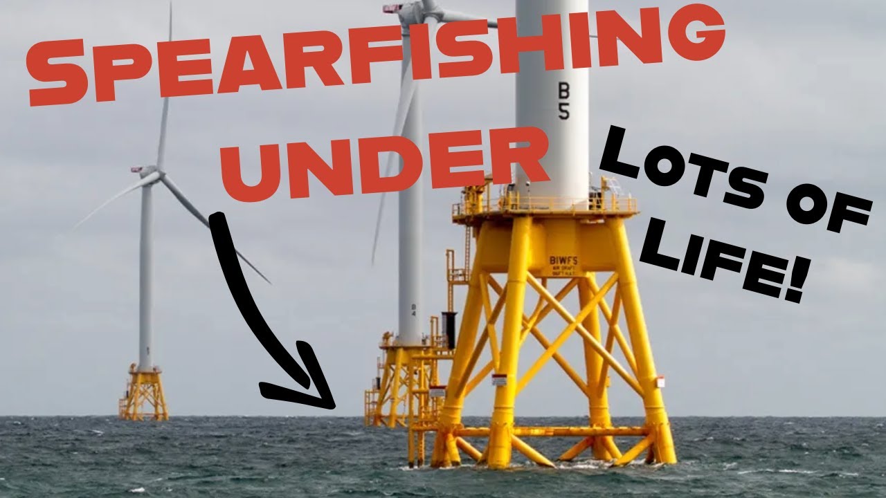 Shooting fish under GIANT Wind Turbines - YouTube
