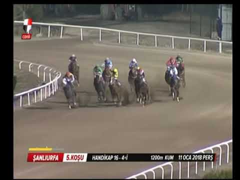 FARK EDİLMEYEN FALSE START DAHA 2 NO LU ATA BAKIN TJK 2018 SKANDAL