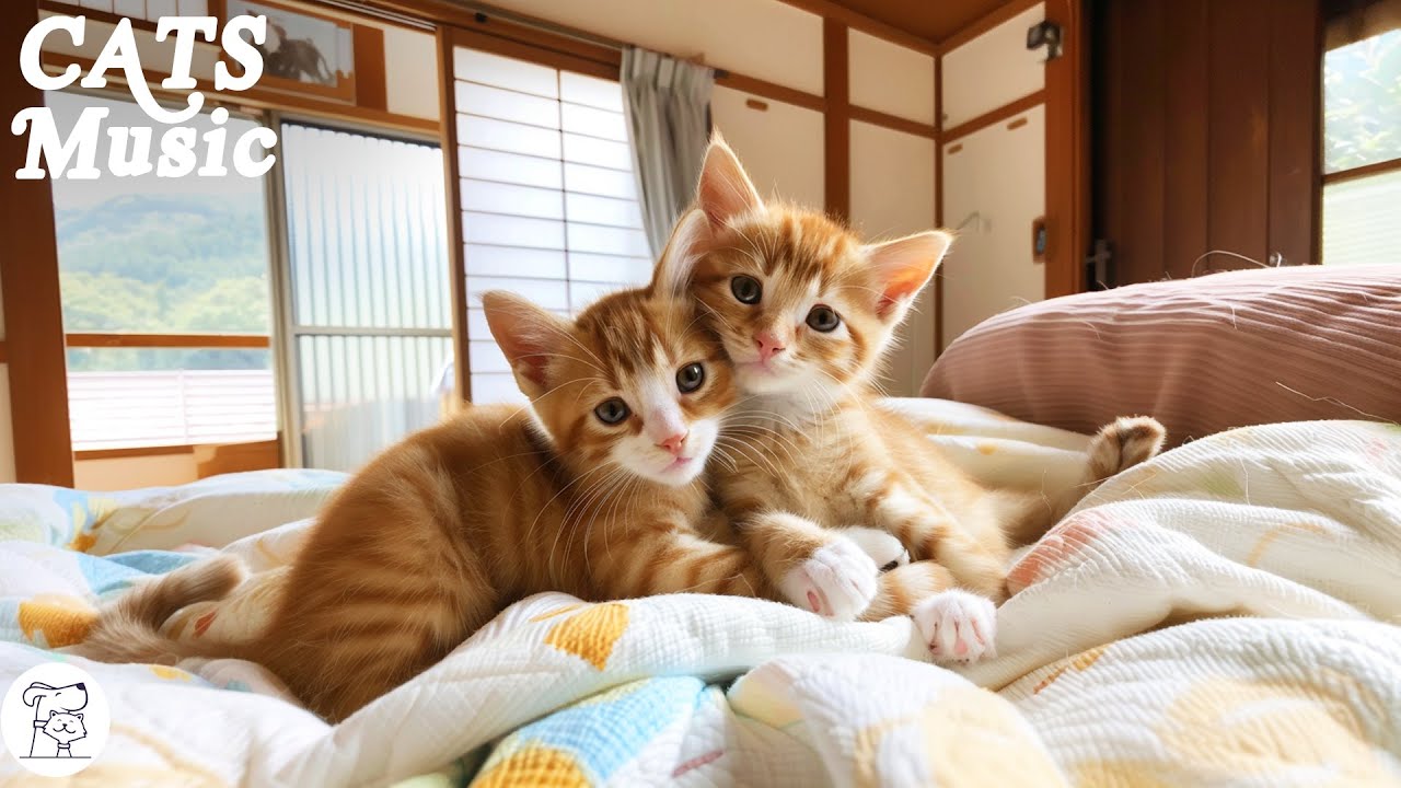 EXTREMELY Soothing Cat Therapy Music - Relax Your Cat! Cat Music ...
