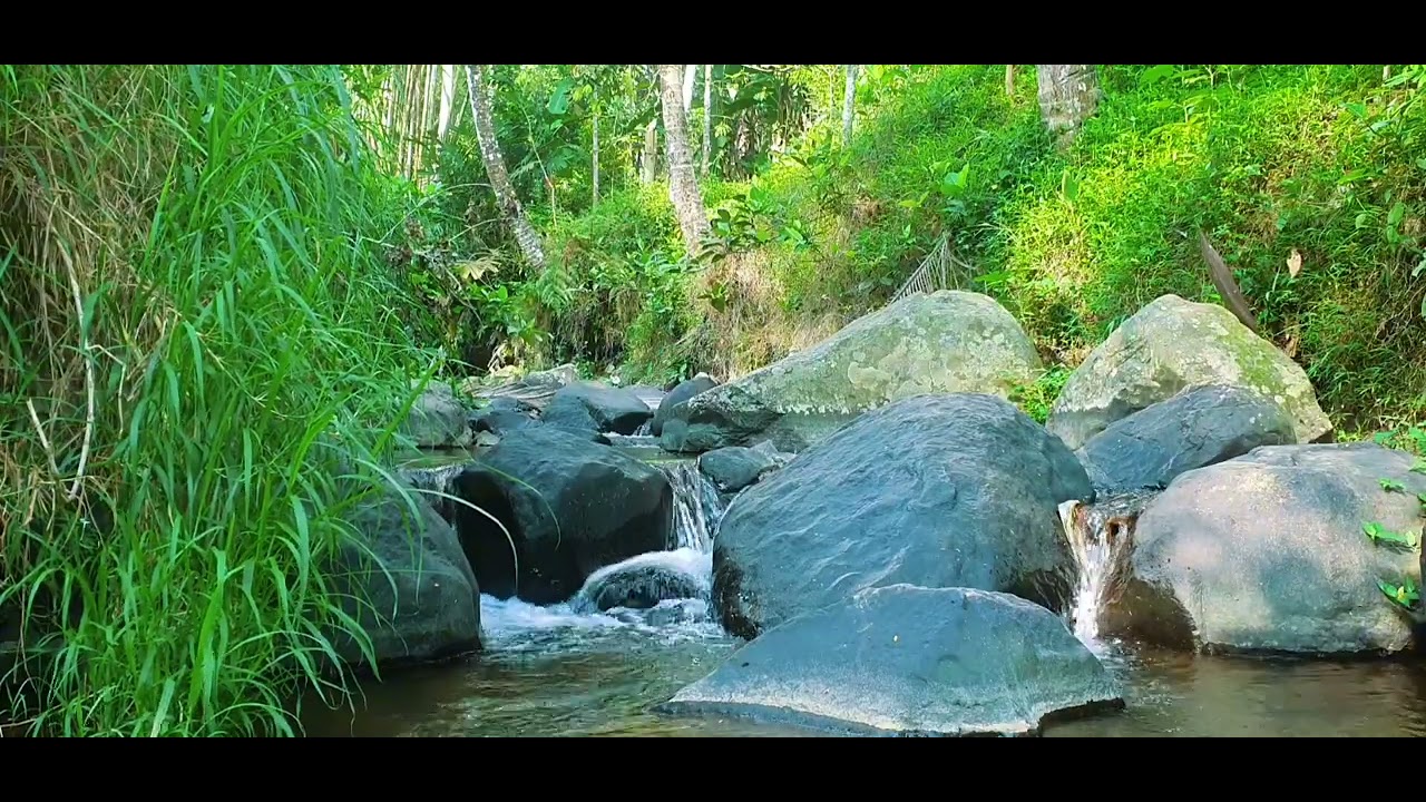 Flow of Tranquility: Waterfall & River Sounds for Deep Breathing ...