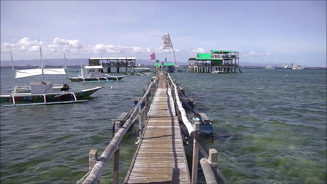 セブ・オランゴ島 海洋保護区 San Vicente Marine Sanctuary Olango Island - YouTube