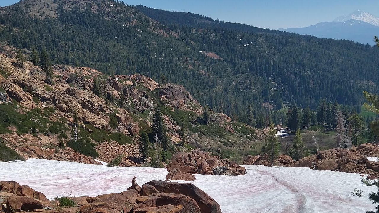 PCT 2023: Day 94. Meditating Squirrel - YouTube