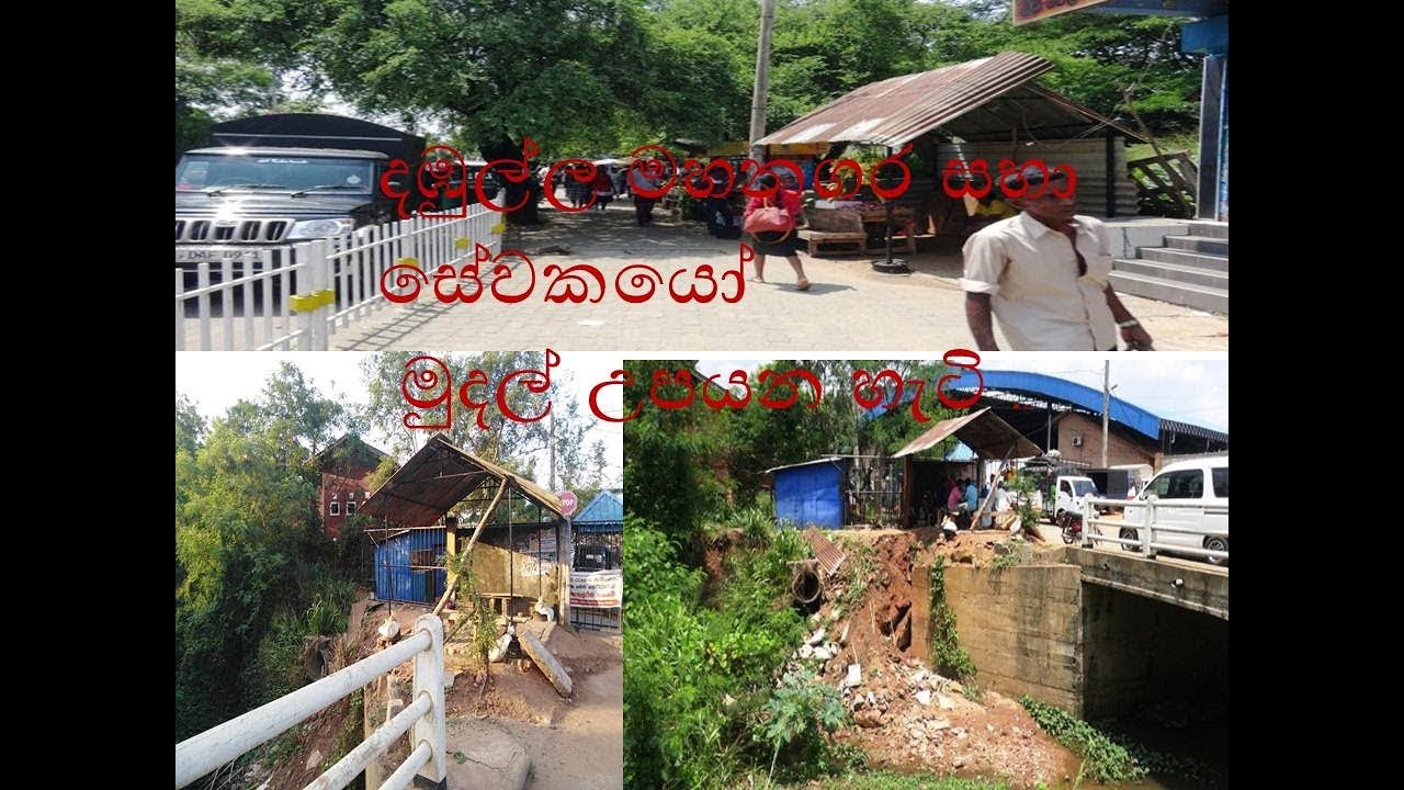 Nagarasaba sewakayo දඹුල්ල මහනගර සභාසේවකයෝ මුදල් උපයන හැටි - YouTube