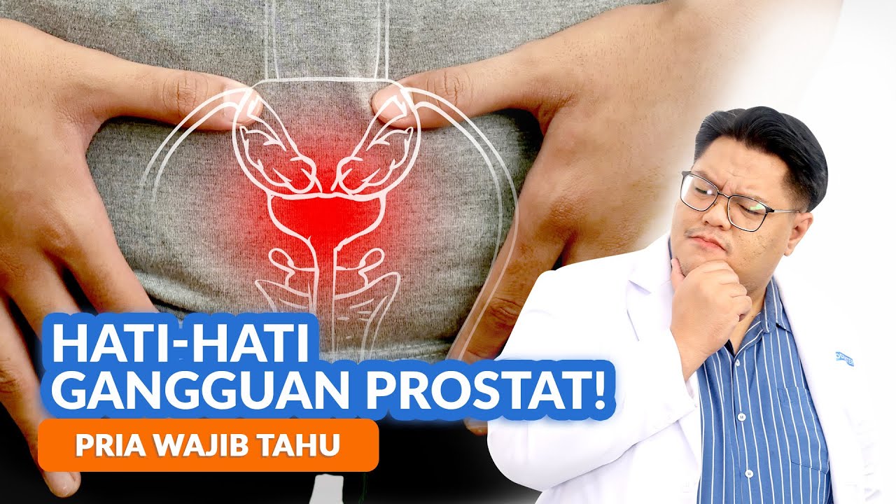 Kelenjar Prostat, Kenali Fungsinya & Waspadai Gangguan yang Mungkin Terjadi! - YouTube