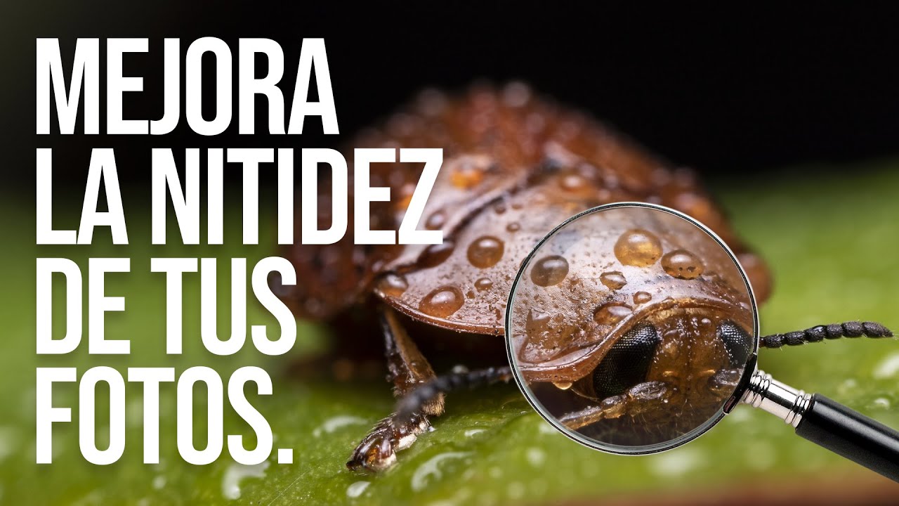 MEJORA LA NITIDEZ DE TUS FOTOS 📷 5 puntos claves para que las fotos ...