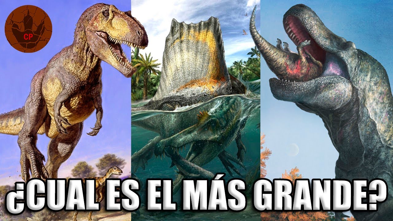 ¿CUÁL ES EL DINOSAURIO CARNÍVORO MÁS GRANDE? - (¿TYRANNOSAURUS ...