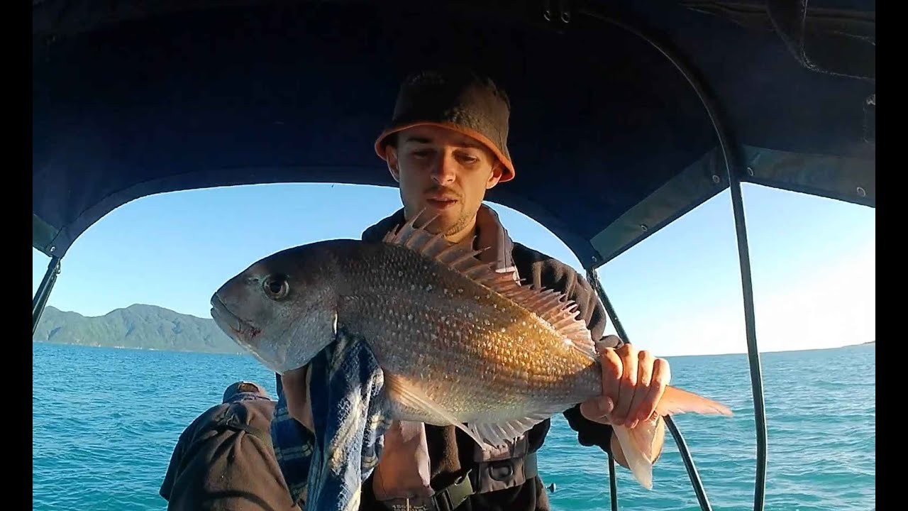 Summer Snapper Session - YouTube