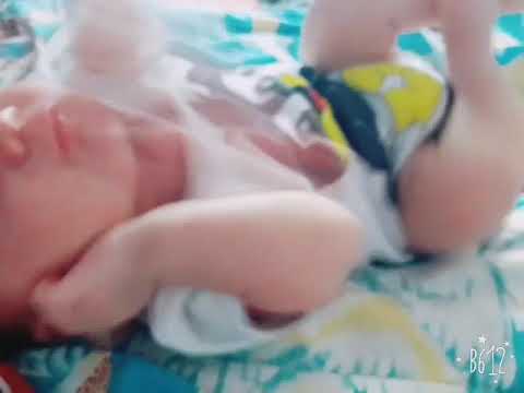 Tatli balam