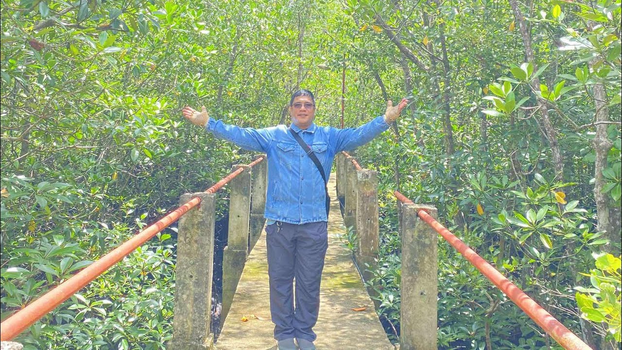 ANISLAG BROADWALK AND MANGROVE PLANTATION - YouTube
