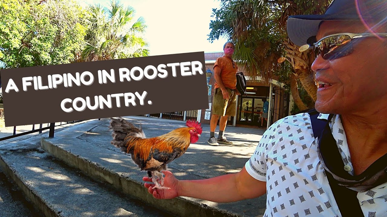 A FILIPINO IN ROOSTER COUNTRY. - YouTube