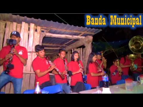 Asi Toca la Nueva Banda de Santa Ana Rayón Oaxaca Julio 2021 - YouTube