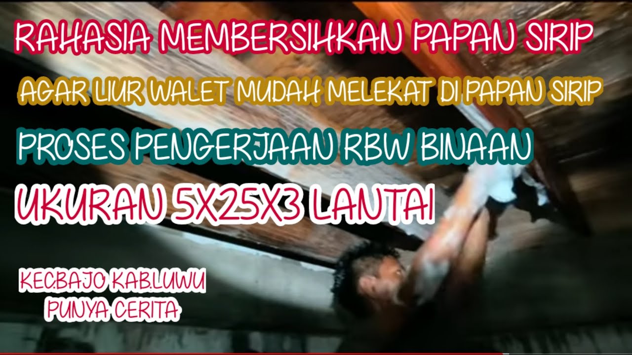 Cara Agar Liur Walet Mudah Menyatu Dengan Papan SIRIP Rbw - YouTube