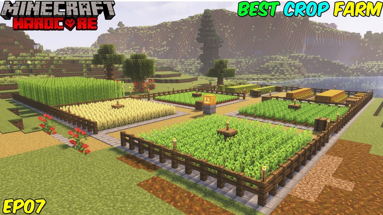 I Build all Crops Farm Minecraft | Hardcore Survival EP07. - YouTube