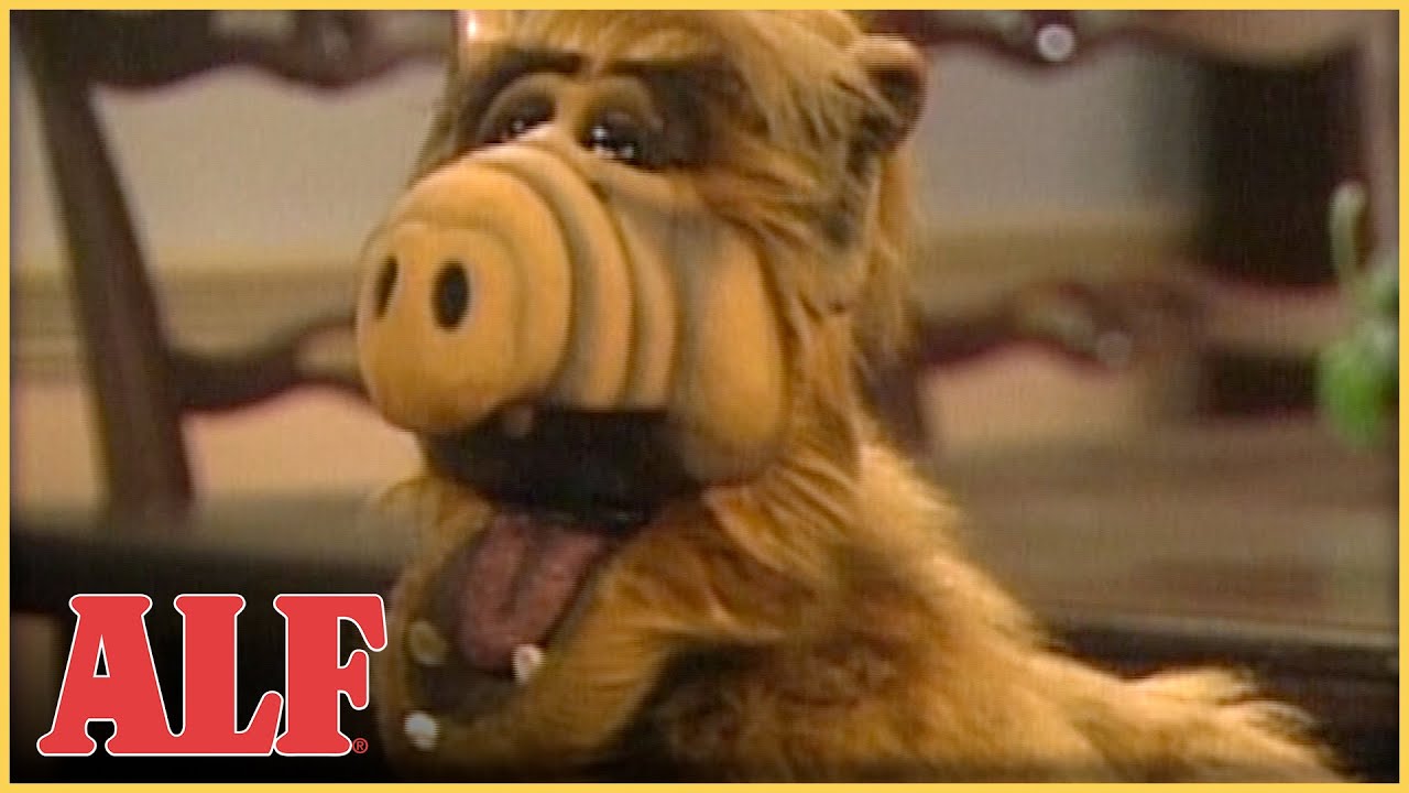 ALF Terrorizes Willie on Movie Night | S2 Ep 10 Clip - YouTube