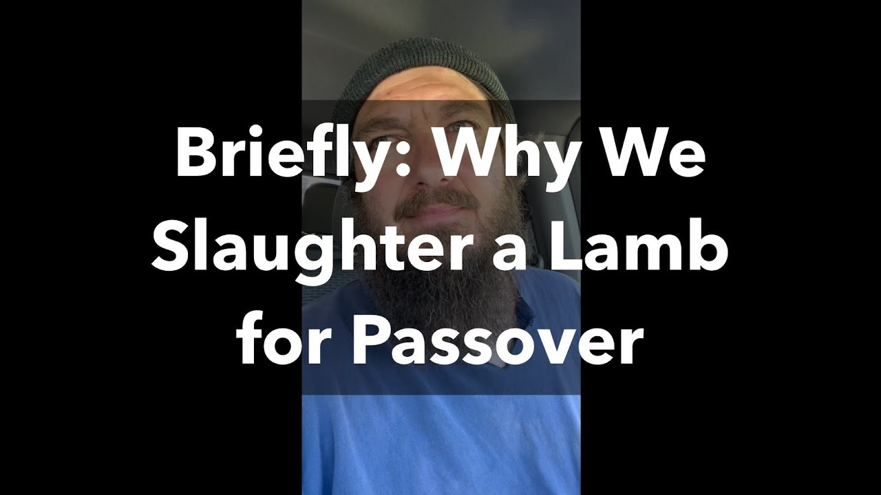 Briefly: Why We Slaughter a Lamb for Passover - YouTube