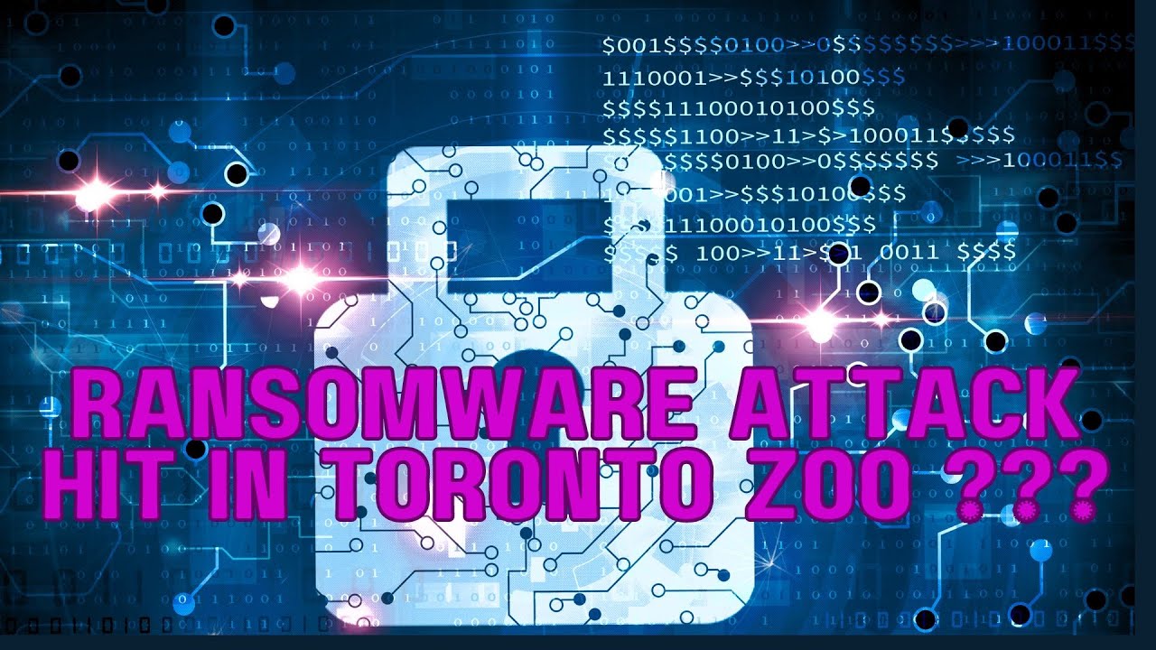 Ransomware Attack Hit in Toronto Zoo? - YouTube