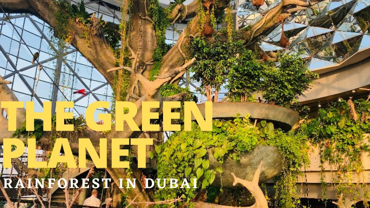Green Planet Dubai | indoor rainforest in Dubai | The Green Planet ...