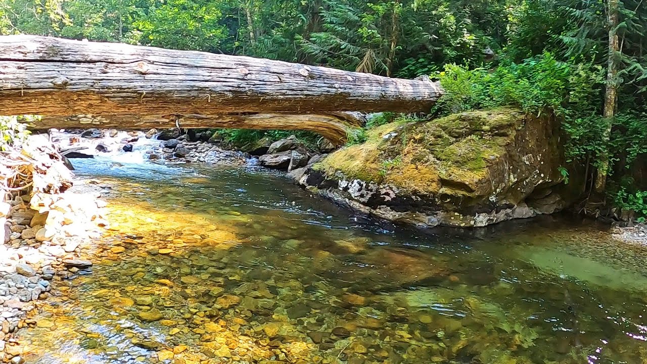 Truck Bed Camping Paradise - Streamside spots like this are everywhere ...