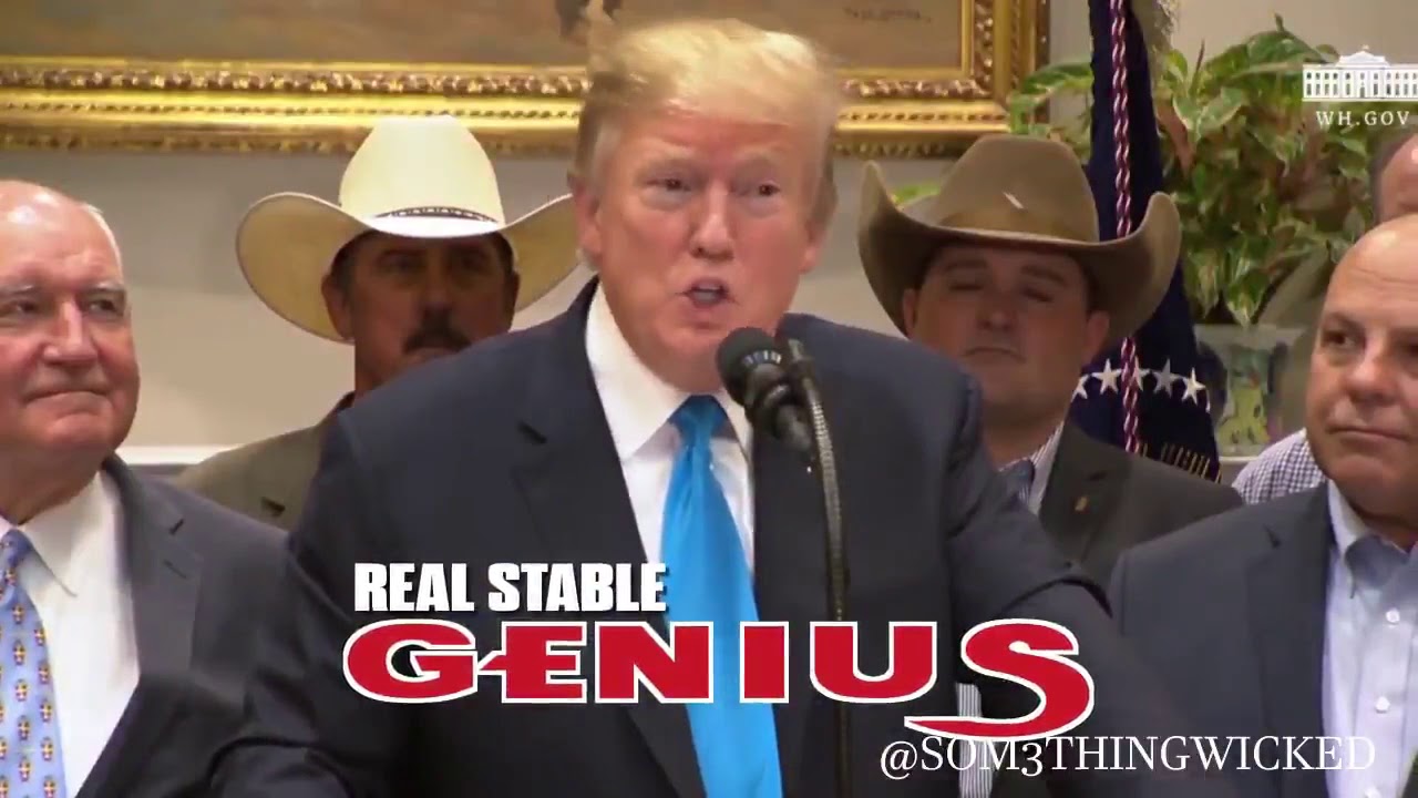 Donald Trump presents, REAL STABLE GENIUS Today we salute YOU...Mrs ...
