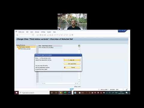 S4Hana FICO 8 Configure Field Status Variant and Assign to Company Code Config - YouTube