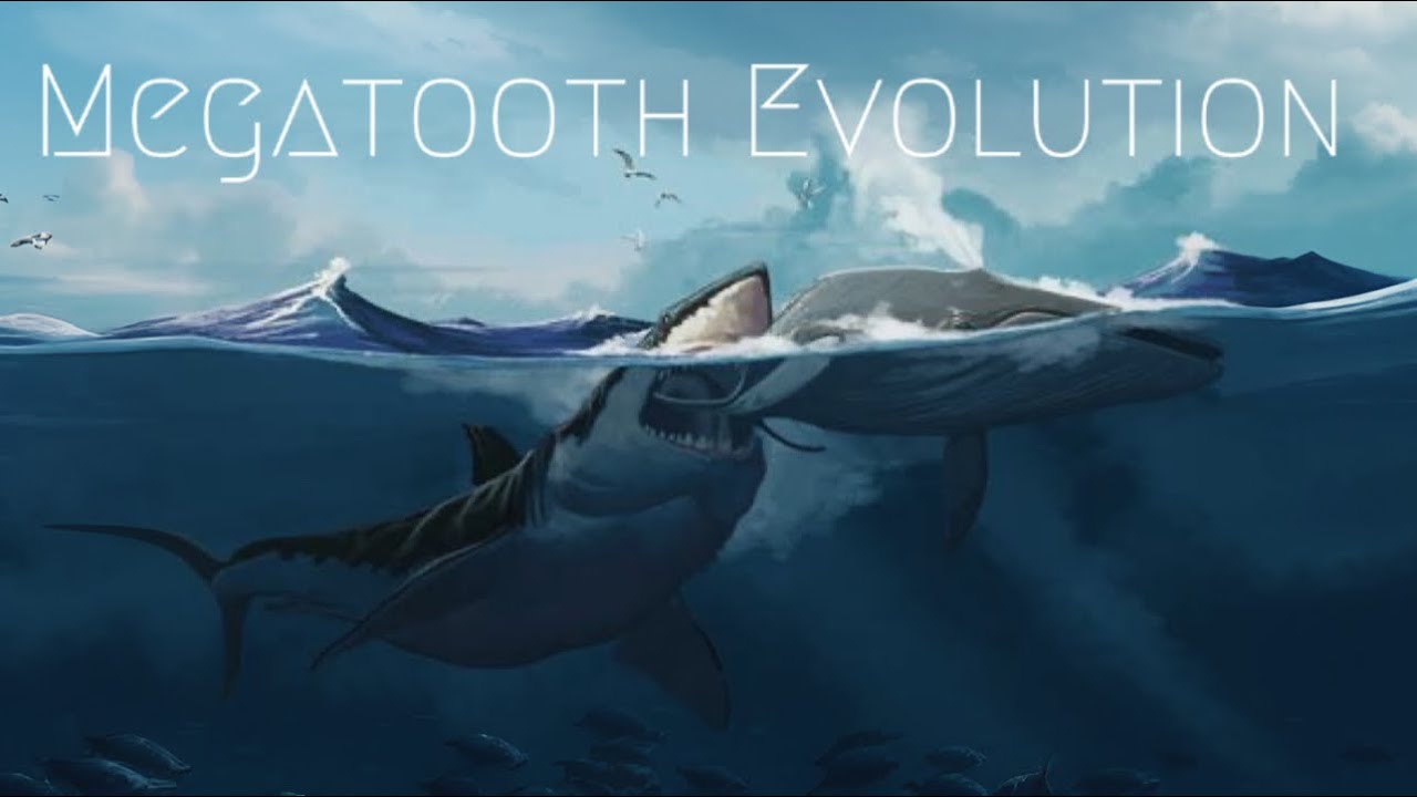 Megatooth Evolution | Otodus Megalodon - YouTube