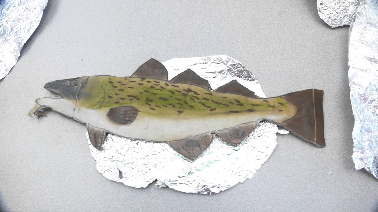 Ted - Weighing The Scales - YouTube