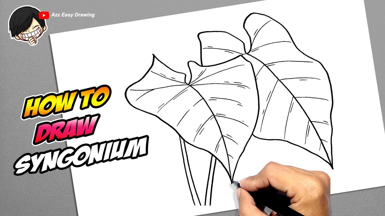 How to draw Syngonium Leaf - YouTube