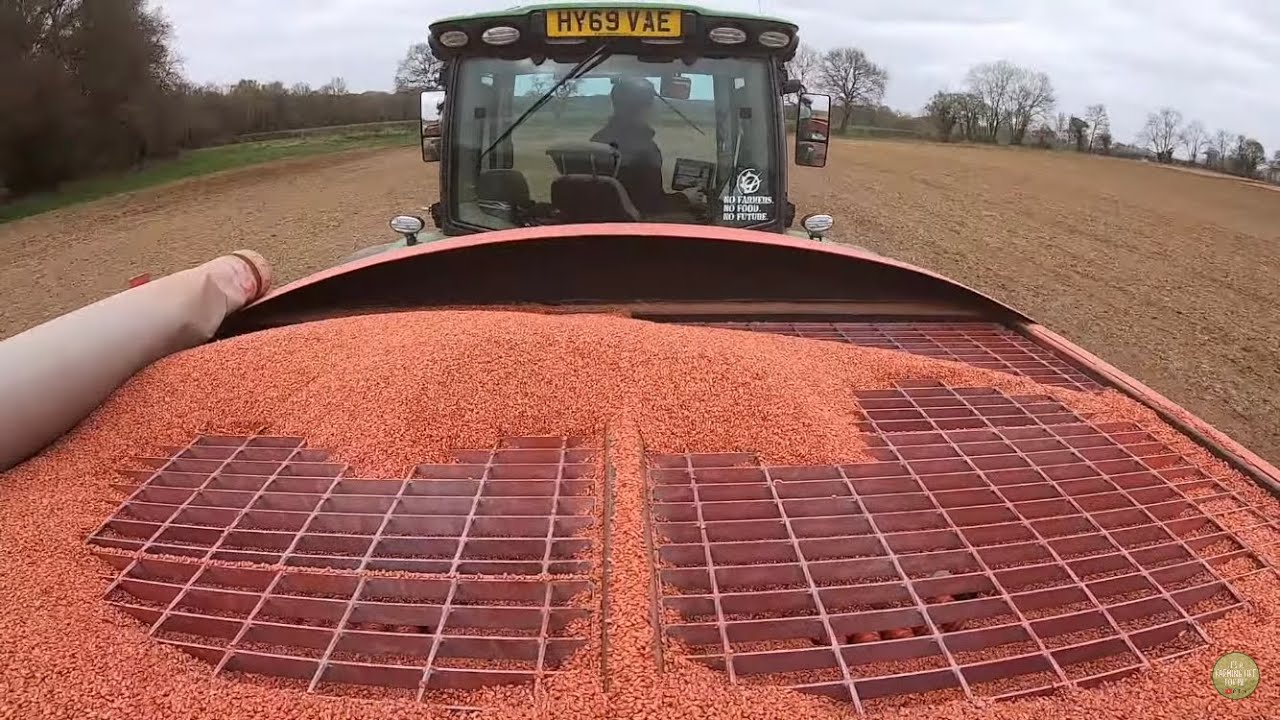 Working seed beds and drilling spring wheat. - YouTube