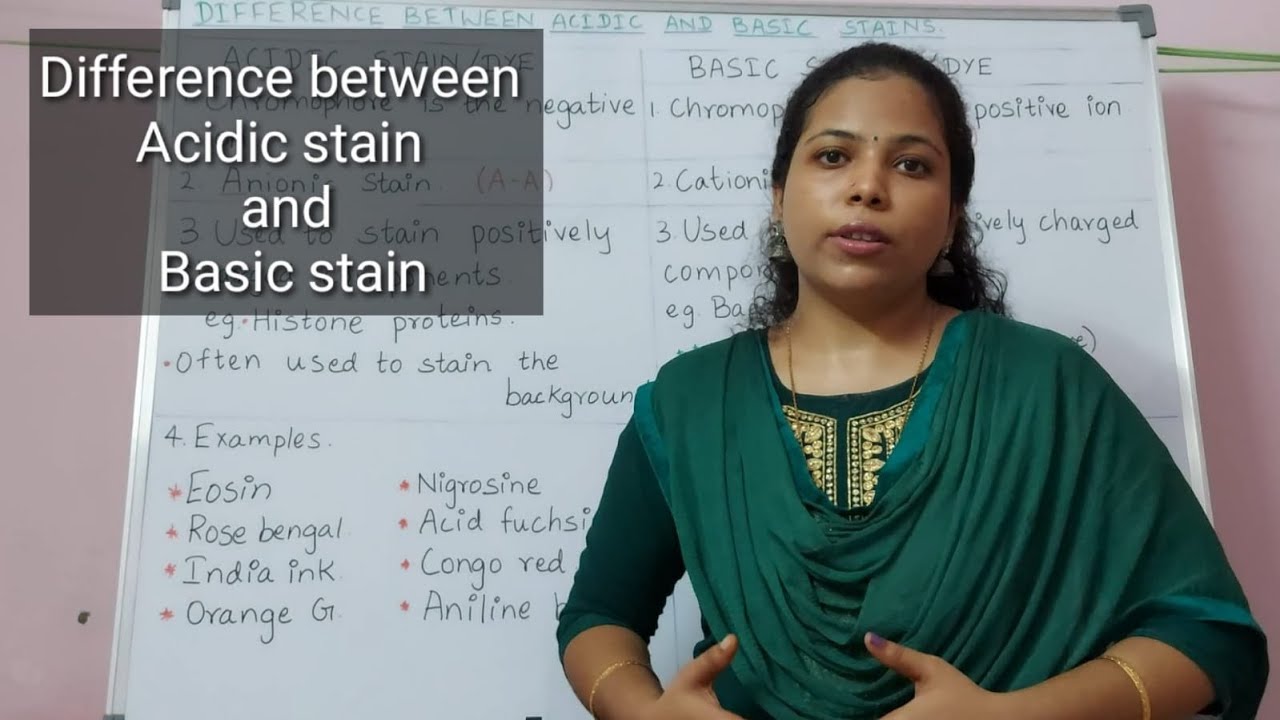 Difference between Acidic stain and Basic stain - YouTube