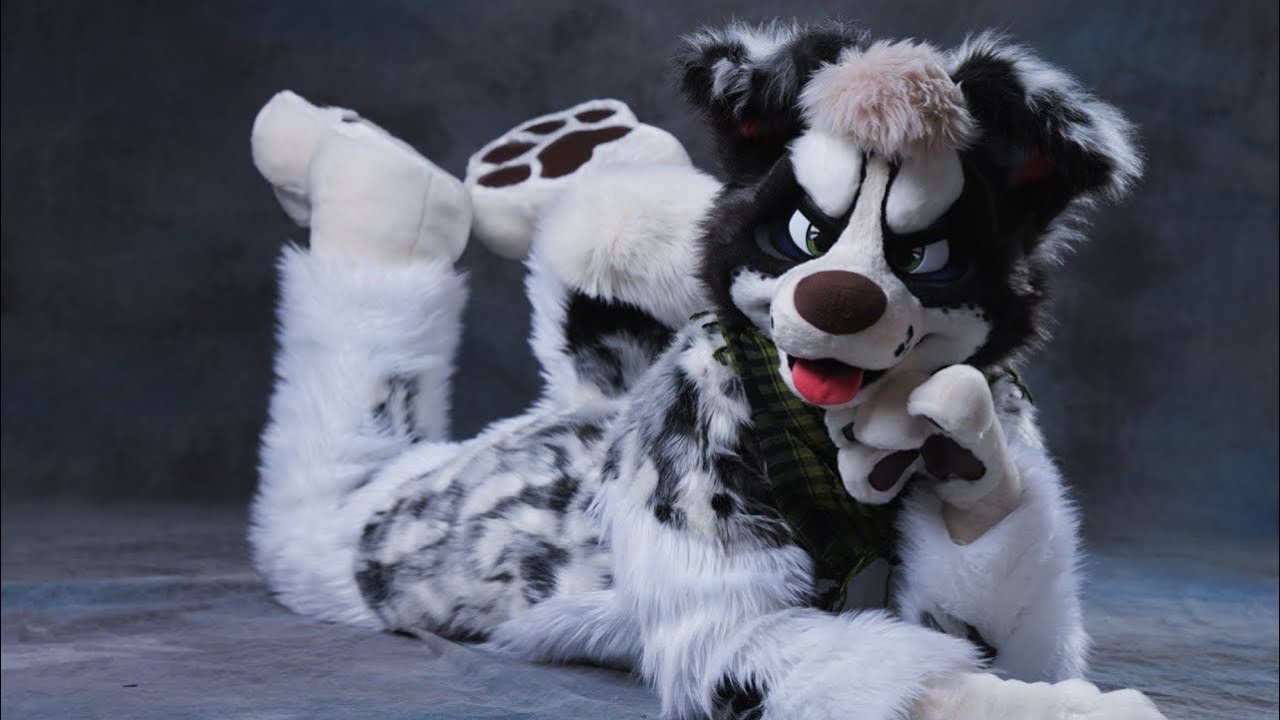 Mixedcandy Spotty Grumpy Mutt - YouTube