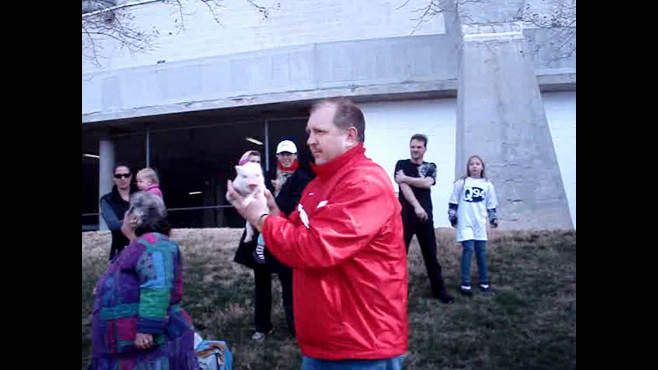 Meet the Rally Pig - YouTube