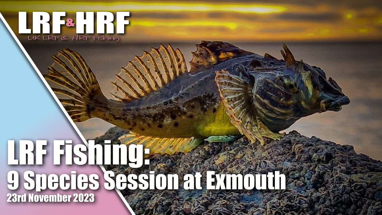 LRF Fishing: 9 Species Session at Exmouth - YouTube