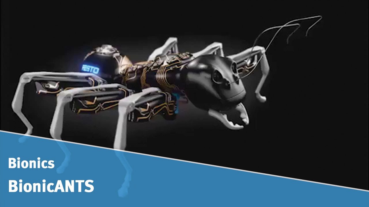 BionicANTS - YouTube