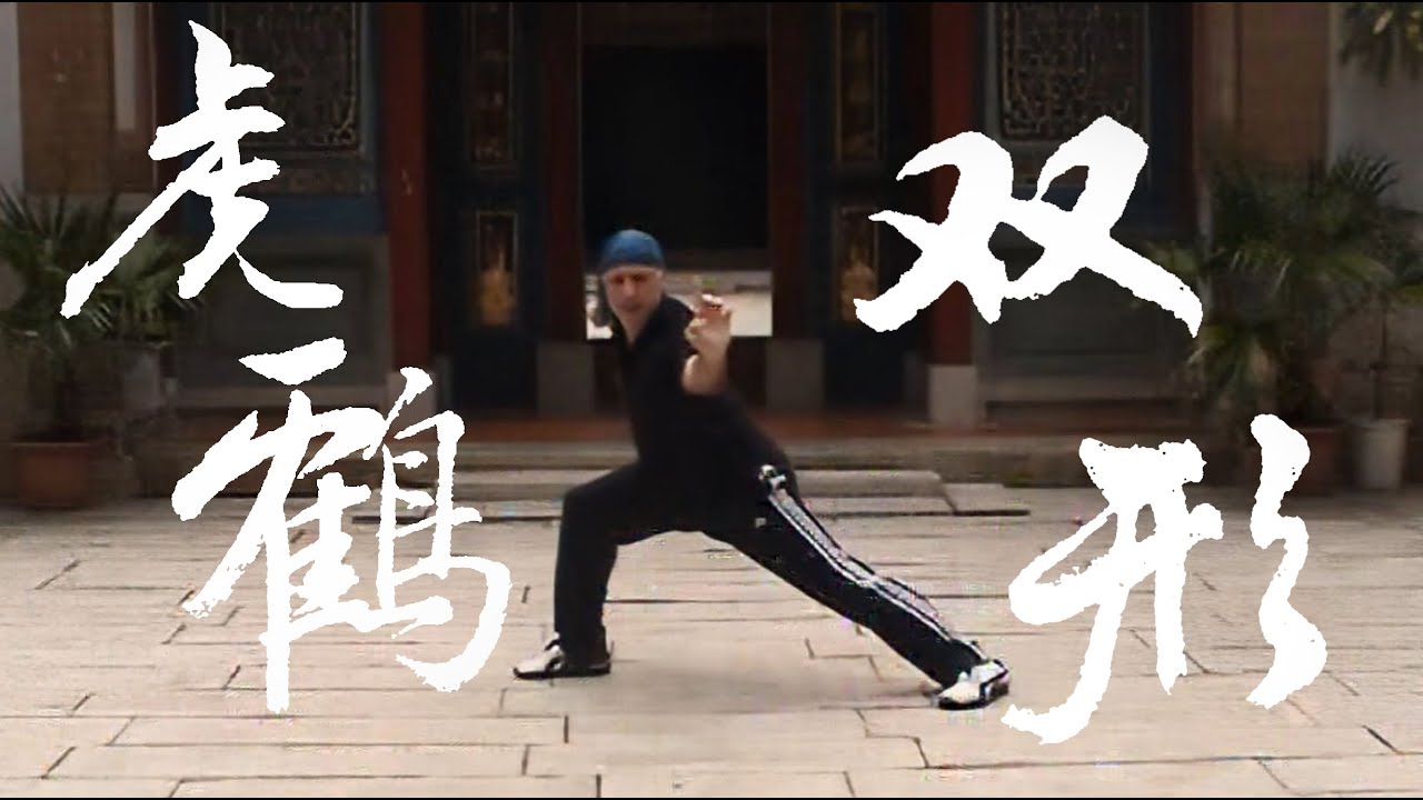 Hung Gar Tiger and Crane - YouTube