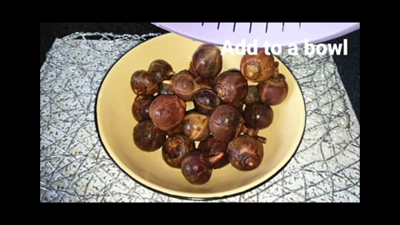 How to consume Goruntula and produce Goruntula syrup - YouTube