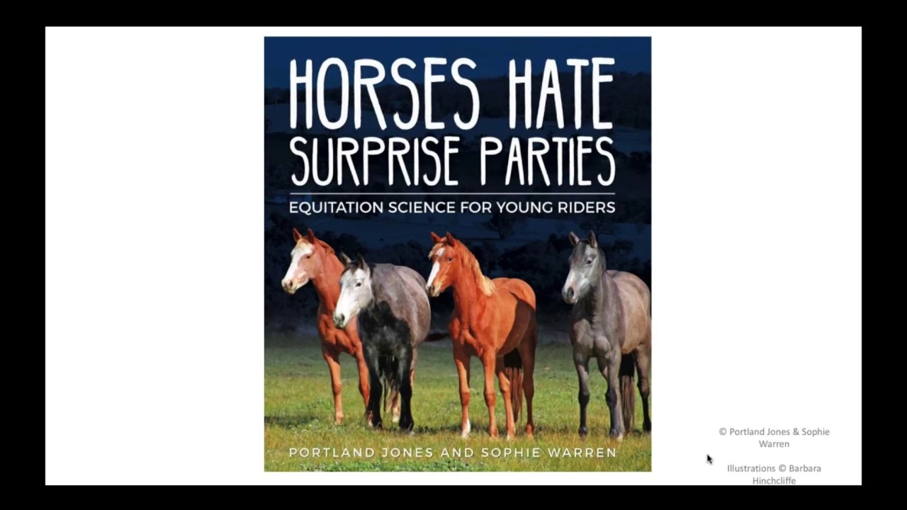 Horses hate surprise parties Part One #horsetraining - YouTube