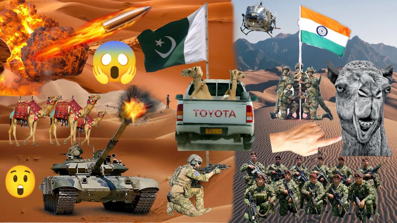 Zero Point Camel’s Life 😱🥶 #camel #desert #love #vlog #vlogs #animals ...