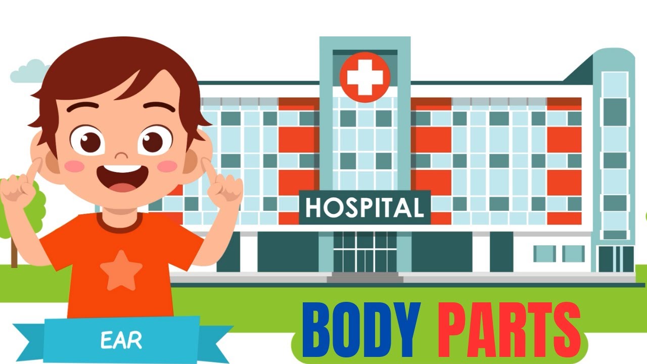 Parts of the body | My Body Song | CoComelon Nursery Rhymes & Kids ...