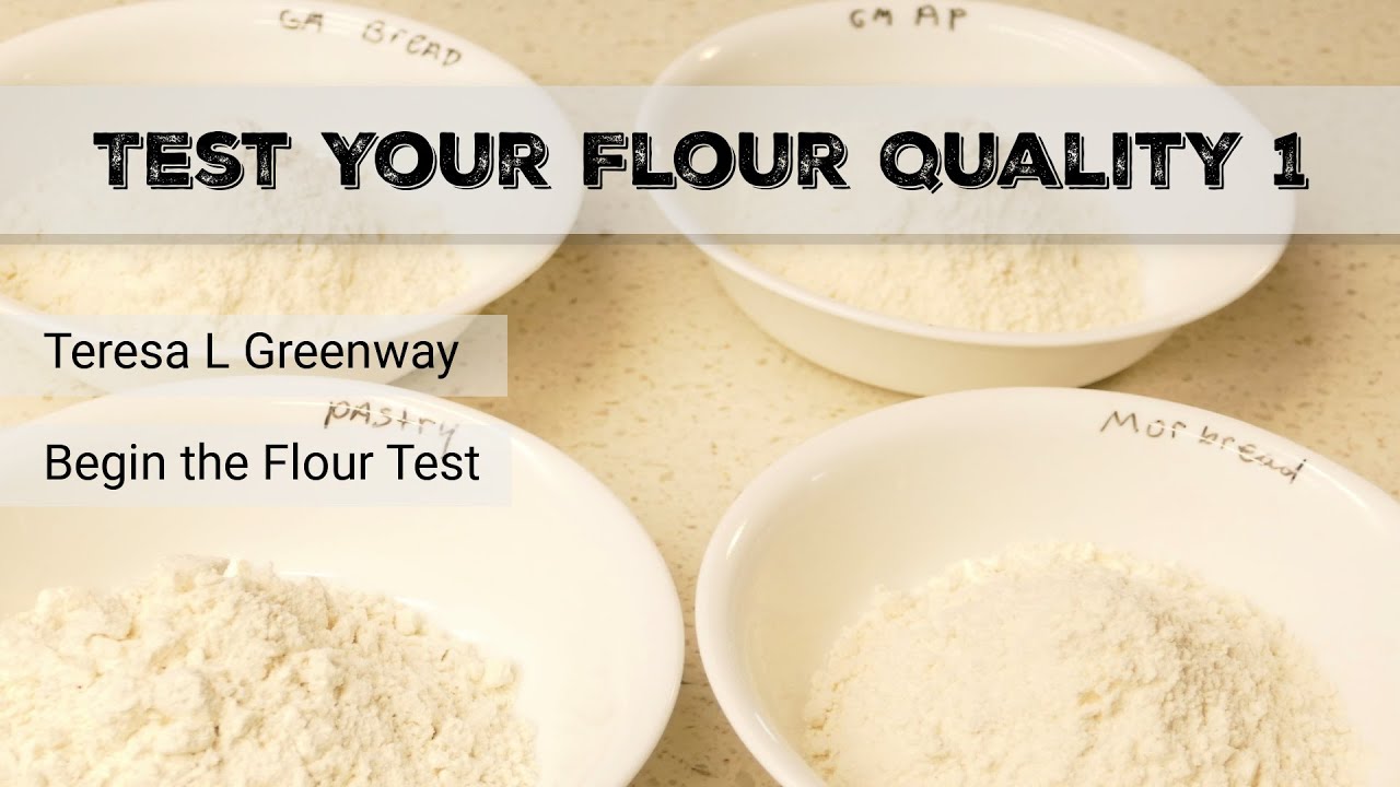 Sourdough Exploration - Test Your Flour 1 - YouTube