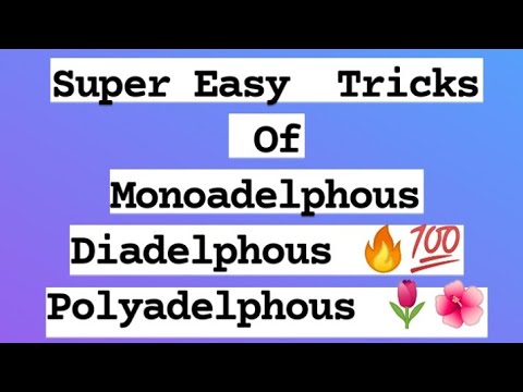 Super Easy Tricks Of Monoadelphous Diadelphous & Polyadelphous | - YouTube
